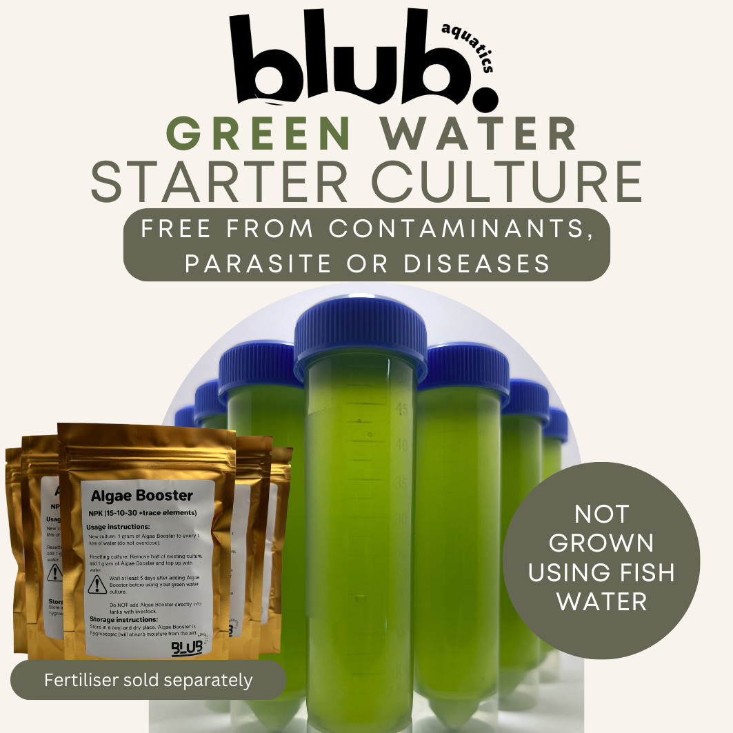 Green Water starter culture for daphnia magna moina fairy shrimp ...