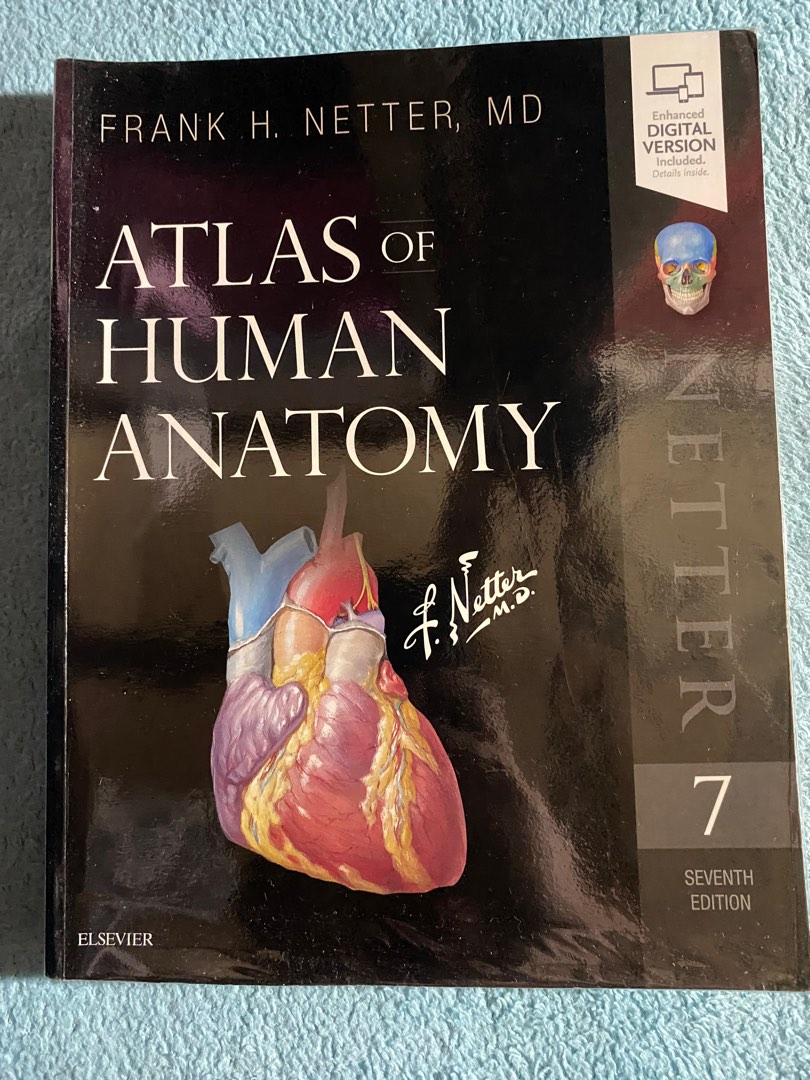SALE!! Atlas of Human Anatomy by F. Netter (ORIGINAL COPY), Hobbies ...