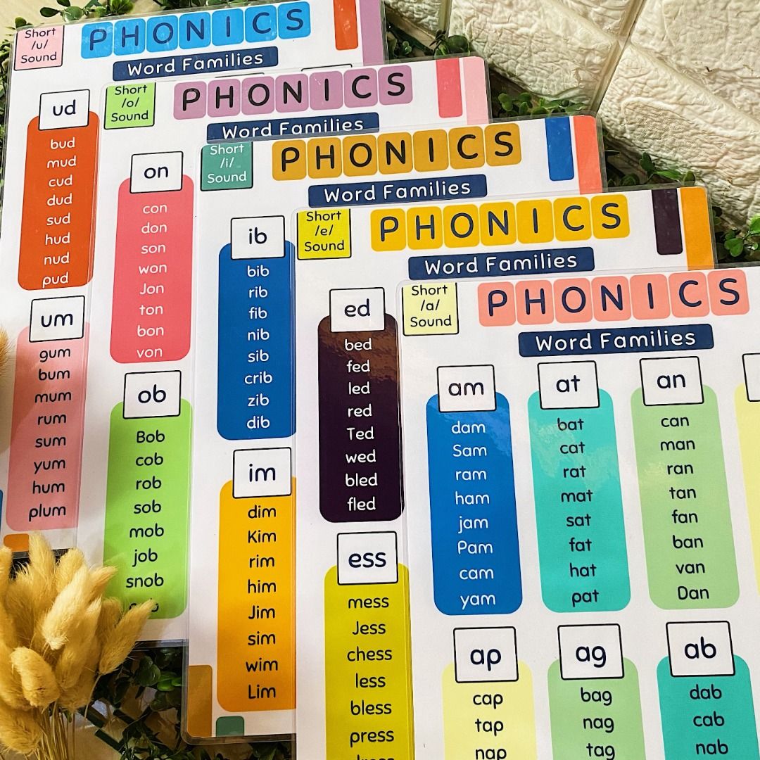 Short Vowels Laminated Reading Charts Bundle, Hobbies & Toys ...