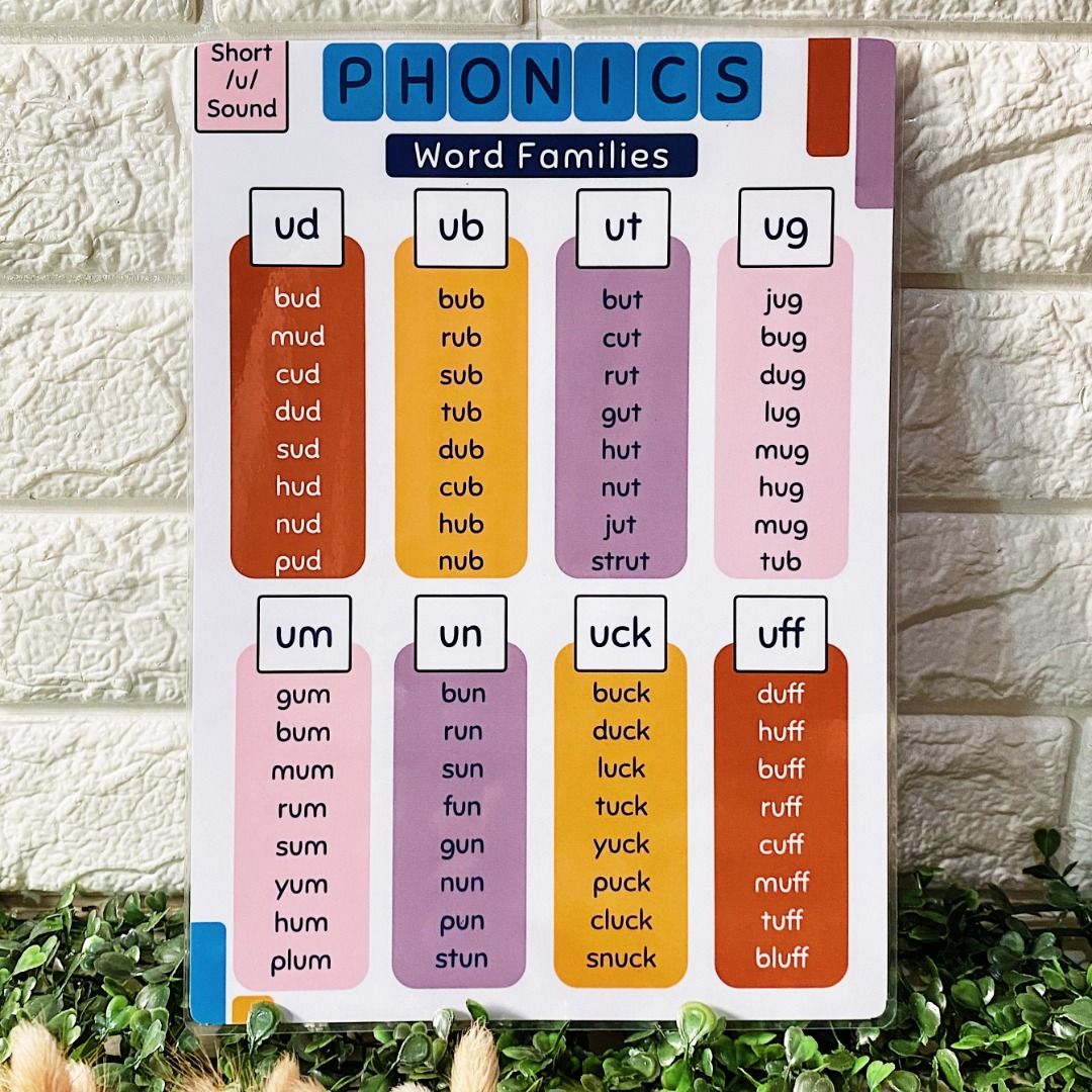 Short Vowels Laminated Reading Charts Bundle, Hobbies & Toys ...