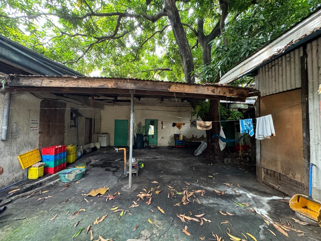 Dona Hemady, 1,200 sqm House and Lot FOR SALE in New Manila, Quezon ...