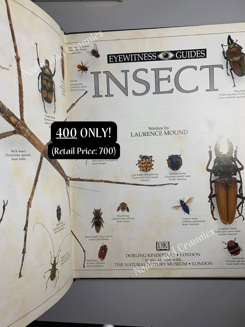 Eyewitness Guides: INSECT by Laurence Mound, Hobbies & Toys, Books ...