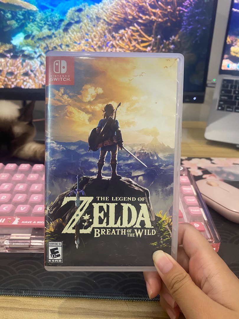 Nintendo Switch Legend of Zelda BOTW, Video Gaming, Video Games ...