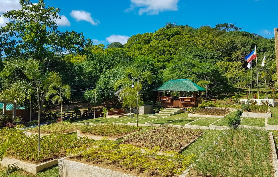 8 Hectares Agricultural Farm For Sale in Nasugbu Batangas, Property ...