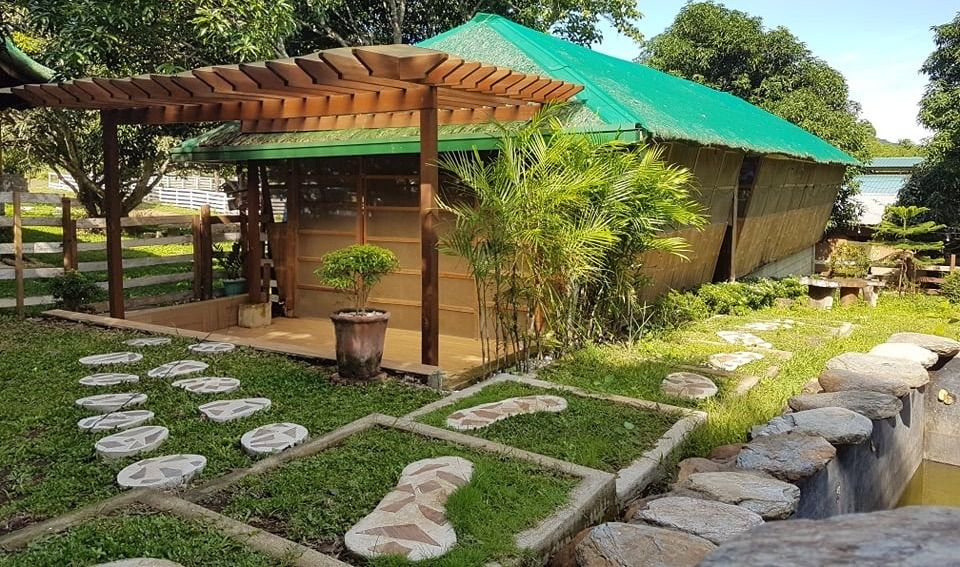 8 Hectares Agricultural Farm For Sale in Nasugbu Batangas, Property ...