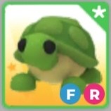 Adopt Me Turtle, Video Gaming, Video Games, Others on Carousell