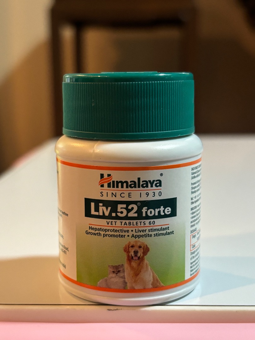 Himalaya Liv52 Forte Vet Tablets for Liver Care of Dogs and Cats (60 ...