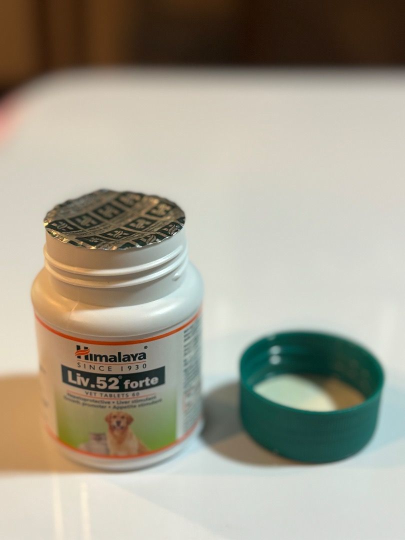 Himalaya Liv52 Forte Vet Tablets for Liver Care of Dogs and Cats (60 ...