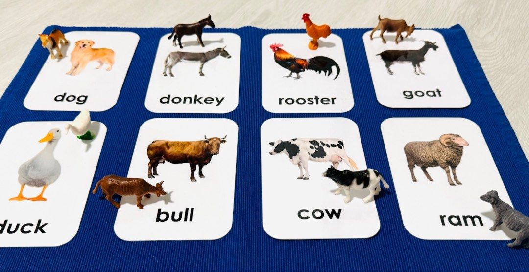 Montessori Cultural - Farm Animals Kit, Hobbies & Toys, Toys & Games on ...