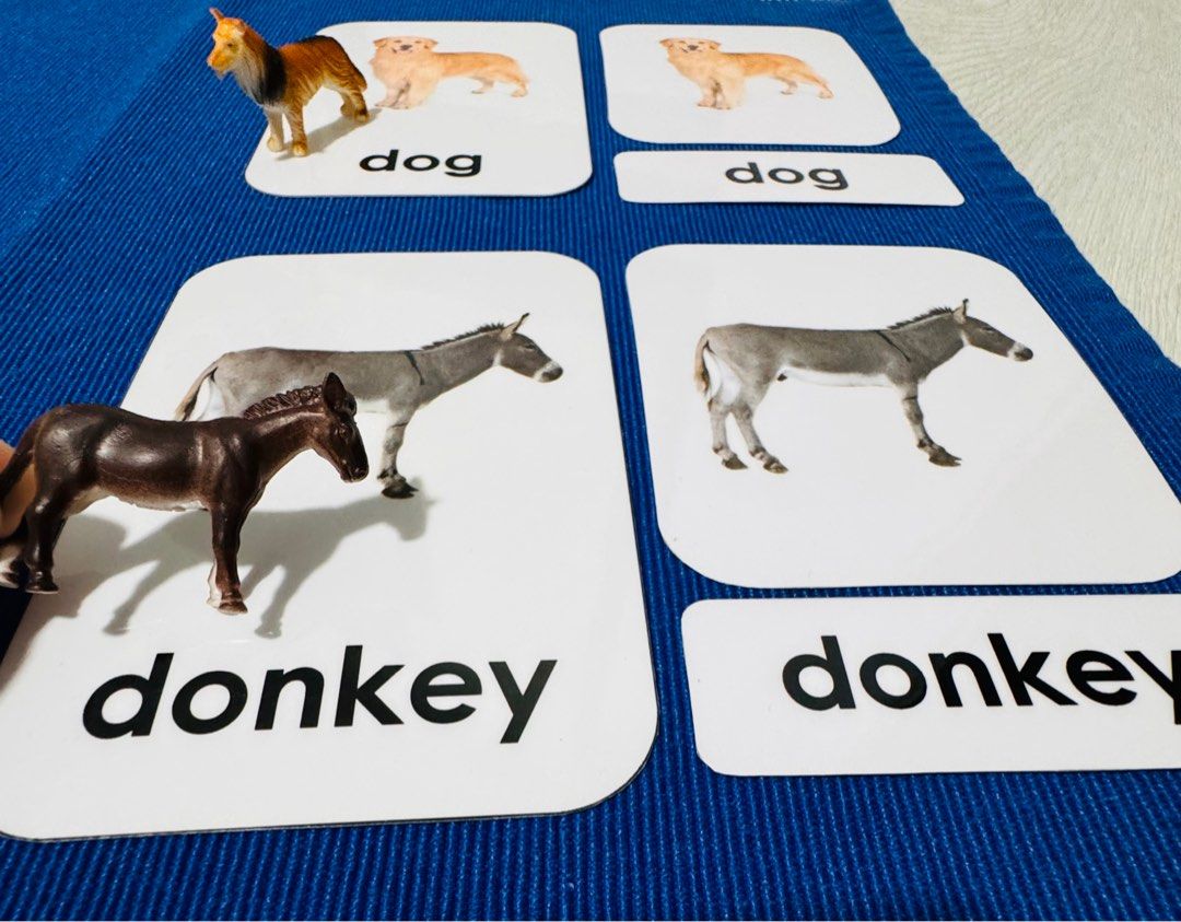 Montessori Cultural - Farm Animals Kit, Hobbies & Toys, Toys & Games on ...