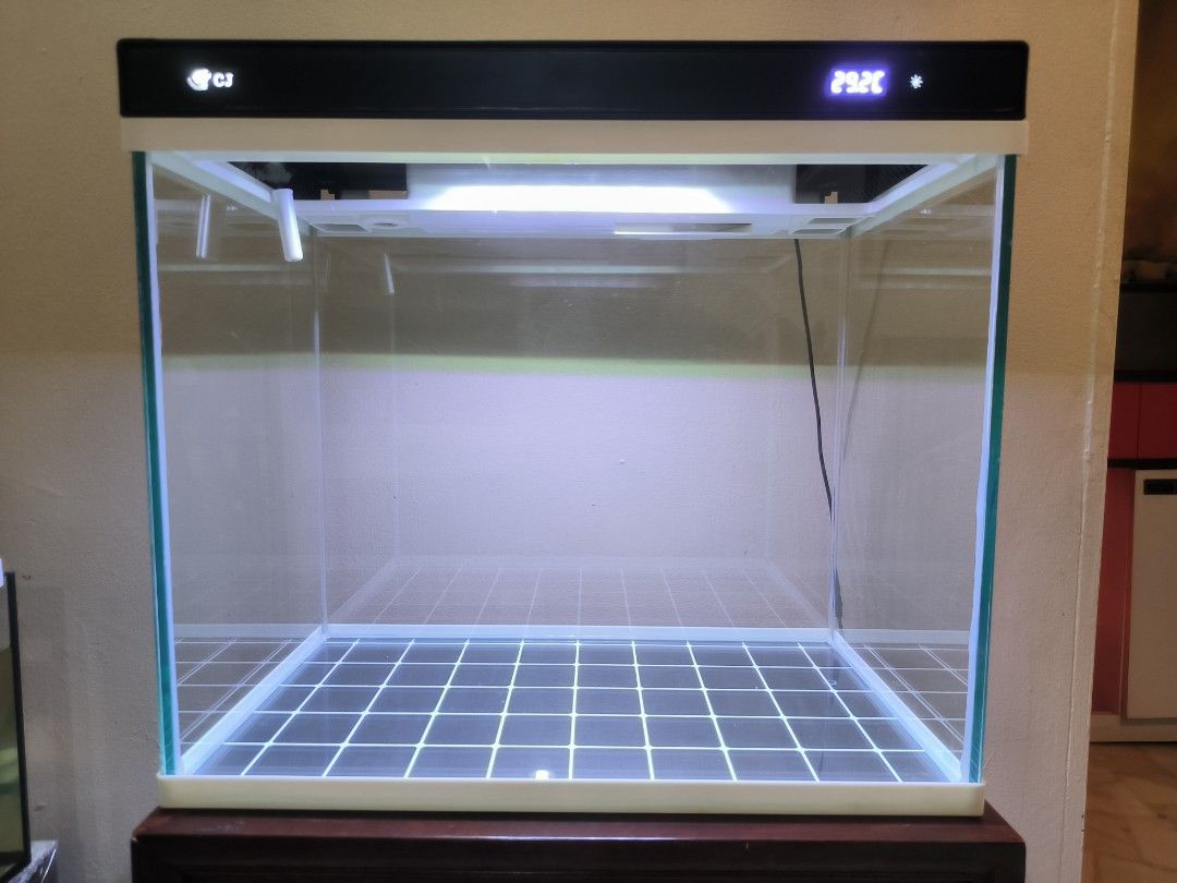 MALAYSIA DAY SALE! New Imported 50cm 1.75 Feet Stylish Aquarium Fish ...