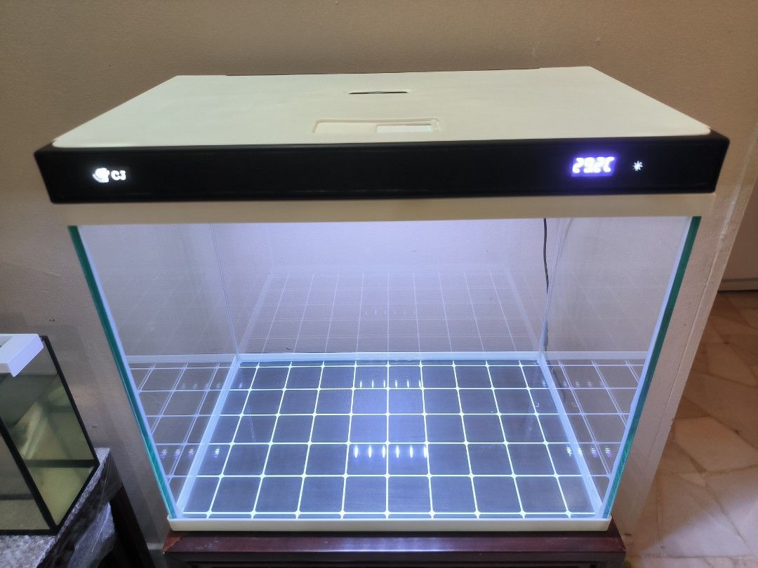 MALAYSIA DAY SALE! New Imported 50cm 1.75 Feet Stylish Aquarium Fish ...