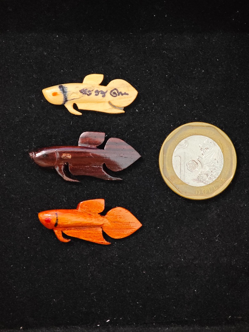 Pla Kad (Lucky Fighting Fish) LP Nuam Wat Pothisrichareon, Hobbies & Toys, Memorabilia ...