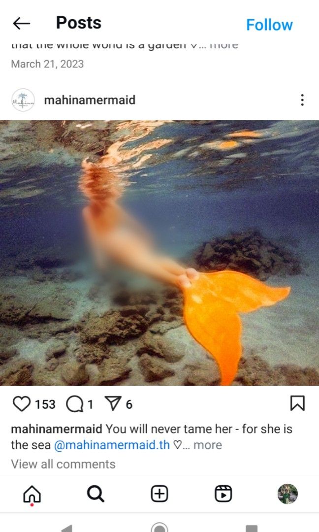 Mahina Mermaid fin Duyung, Sports Equipment, Other Sports Equipment and ...