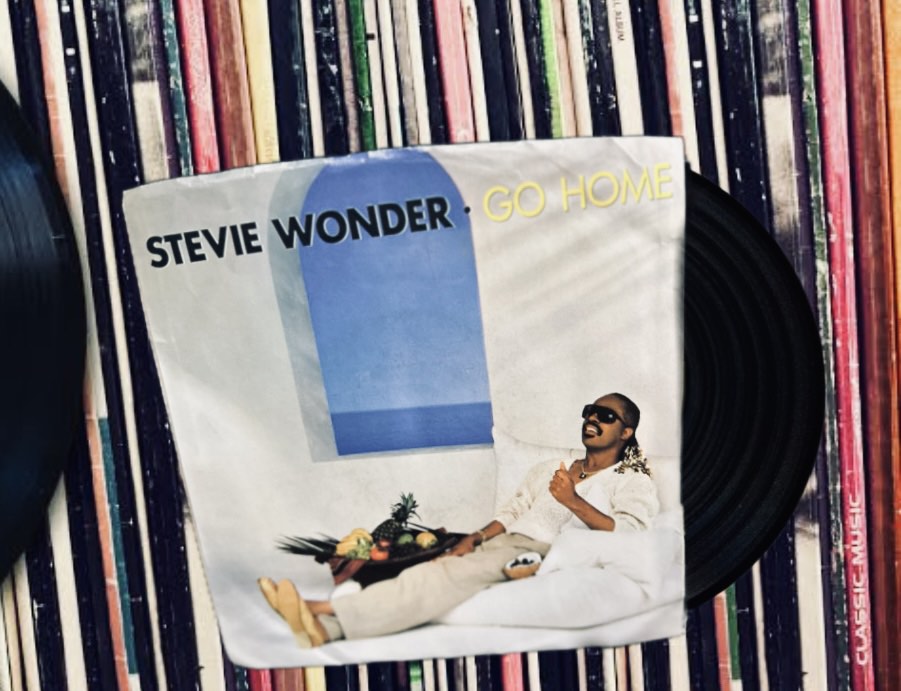 Stevie Wonder Go Home Vinyl Record 45 RPM Vinyls Vintage RPMs Stevie ...