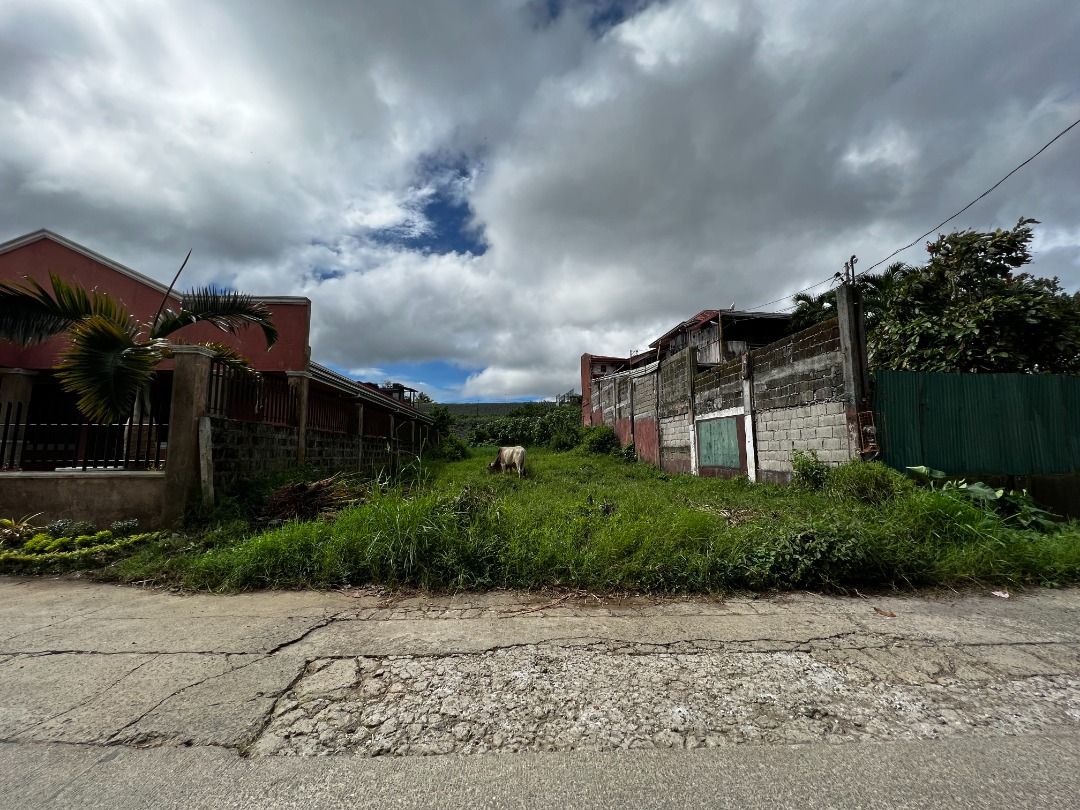 Tagaytay Lot For Sale 262 sqm | Near Las Brisas Subdivision and ...