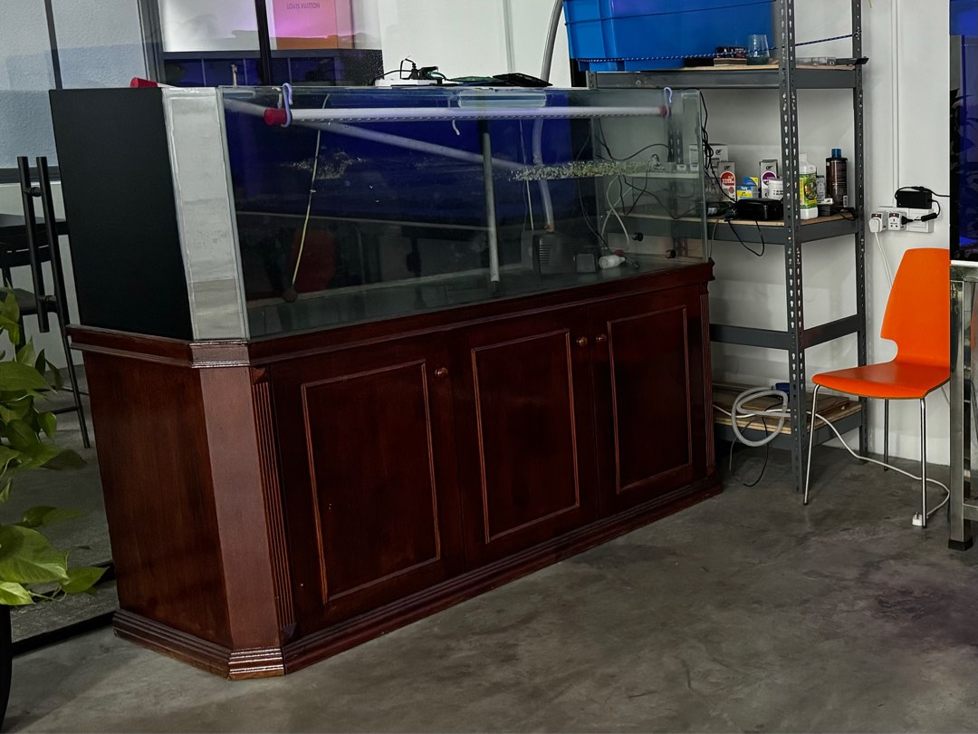 6 feet Fish tank with cabinet , Pet Supplies, Homes & Other Pet ...