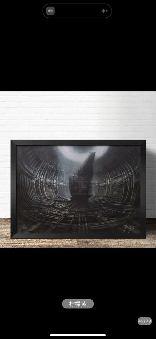 全新 40cm x60cm brand new H.R. Giger 異形相紙畫連相架 Photo paper with photo ...