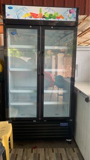 Stainless steel 2 door upright chiller can - 8celcius, TV & Home ...