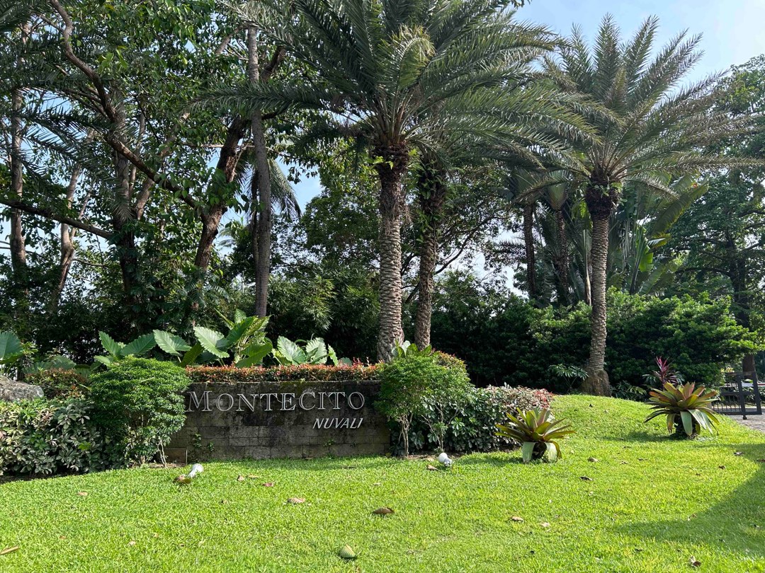 FOR SALE || VACANT LOT IN MONTECITO, NUVALI by Ayala Land Premier ...