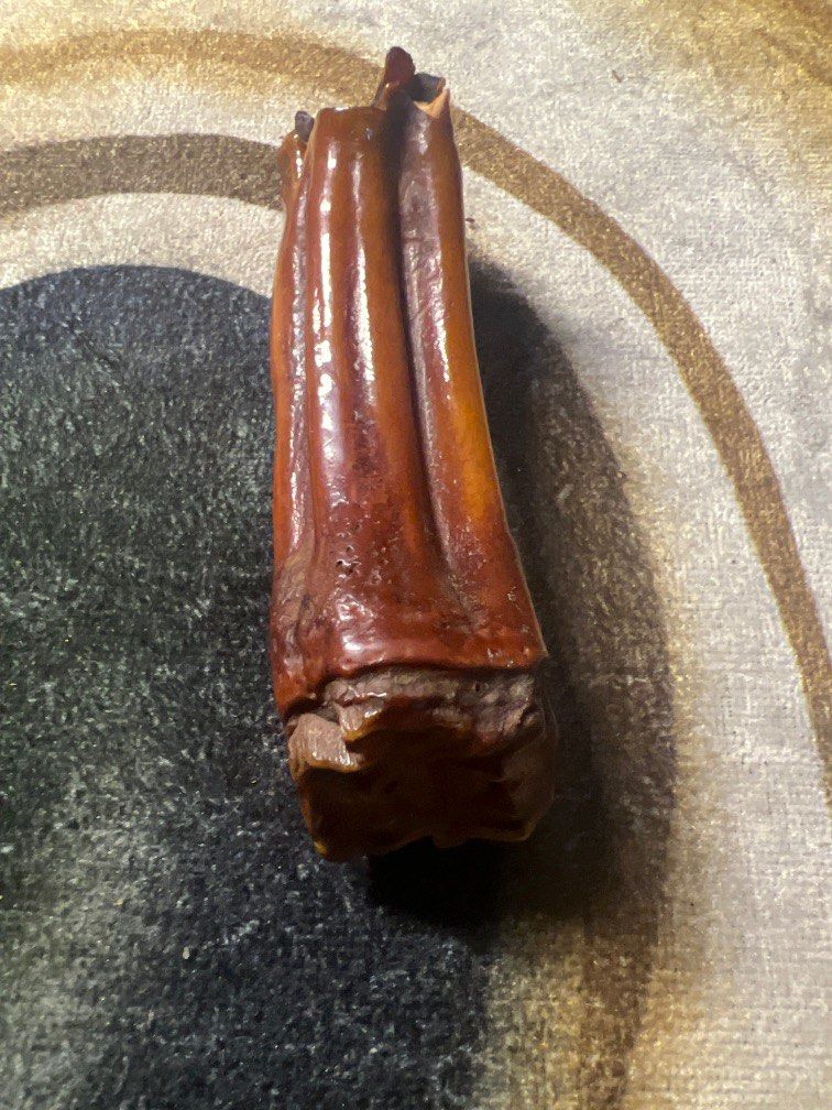 Geraham Badak | Taring Kuda Nil, Hobbies & Toys, Collectibles ...