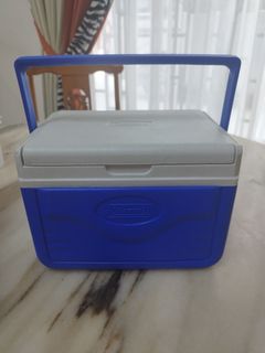 Ais box/rice keeper hot/cold bucket small, TV & Home Appliances ...