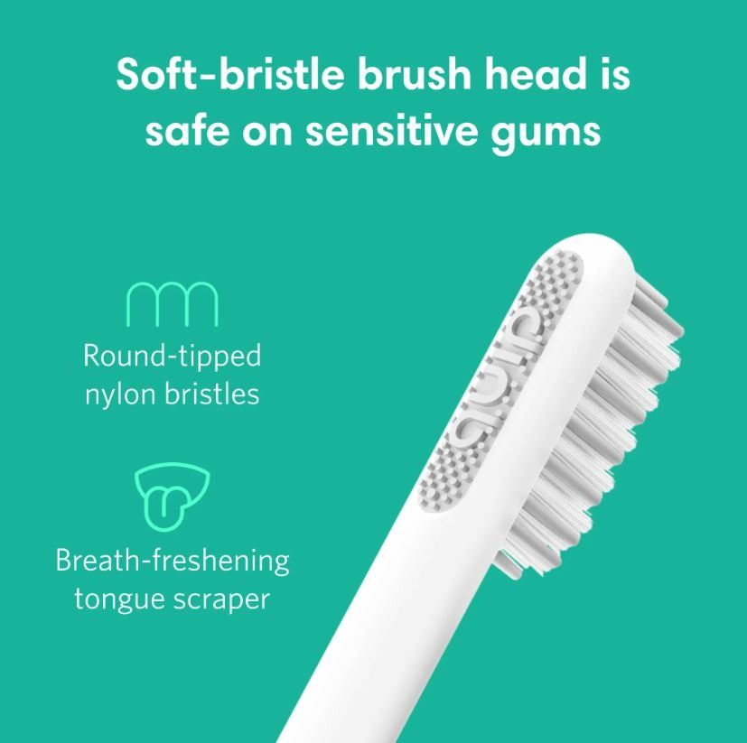 Quip Adult Electric Toothbrush Full Head, Built-in Timer + Travel Case ...