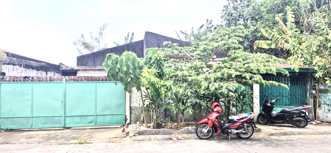 258 sqm House and Lot For Sale BF homes Subdivision, Property, For Sale ...