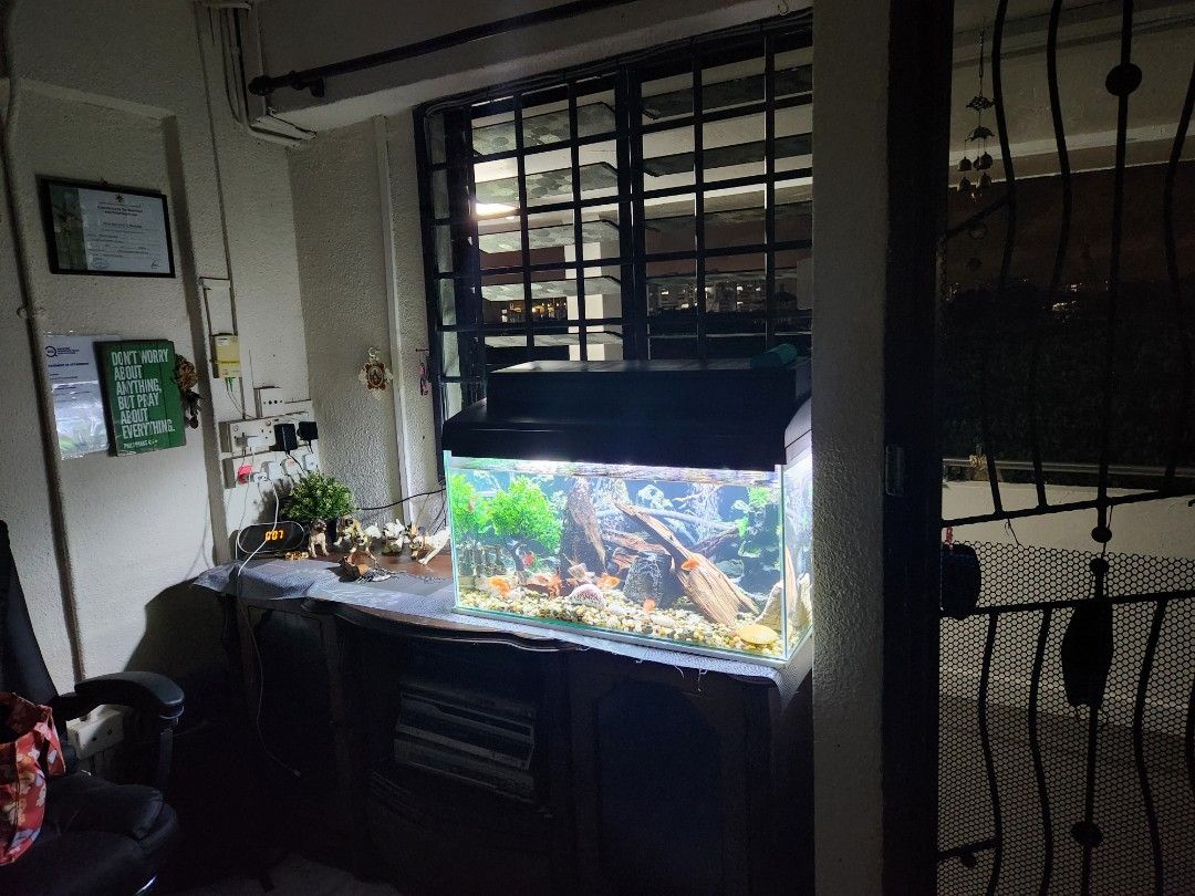 Brand new fish tank 2.5ft, Pet Supplies, Homes & Other Pet Accessories ...