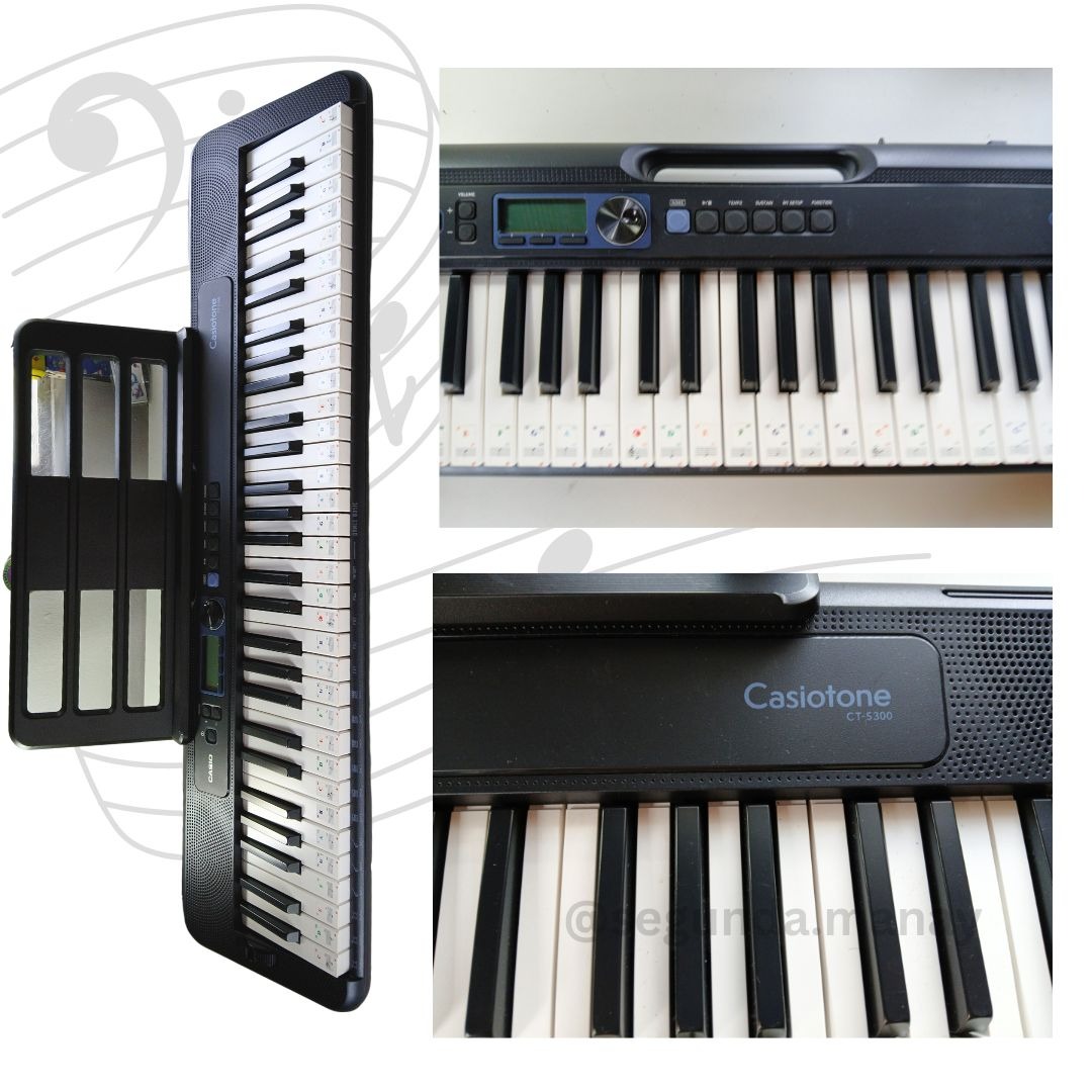 Casiotone Electronic Keyboard CTS-300, Hobbies & Toys, Music & Media ...