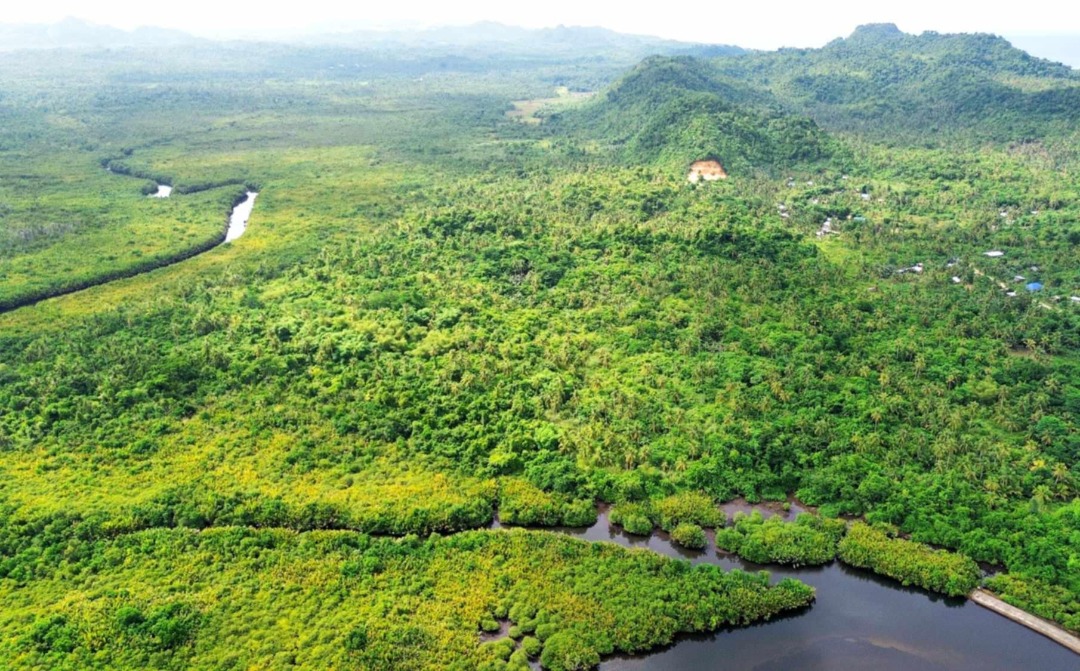 For Sale: Agricultural Lot in San Isidro (Doot), Siargao Island, P175M ...