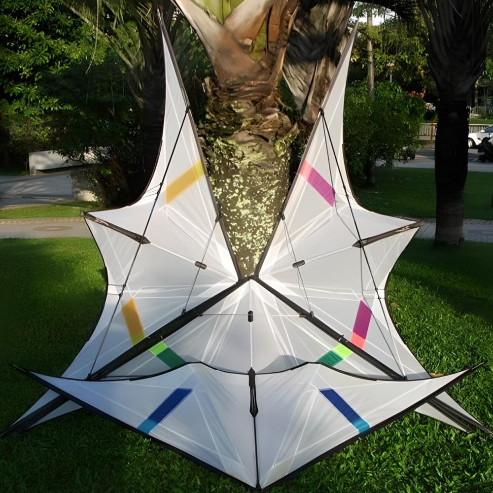 2.2m Duende 220 UL Trick Kite USA Flying Wings Kites (Code : SF2 ...
