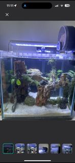 HAKKAI STONE (USED) AQUASCAPE, Pet Supplies, Homes & Other Pet ...