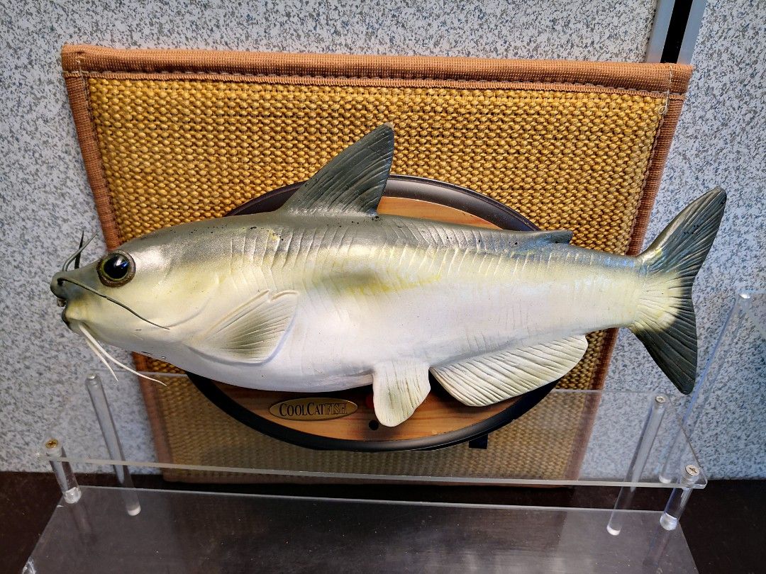 Cool Catfish Talking & Singing Fish, Hobbies & Toys, Toys & Games on ...