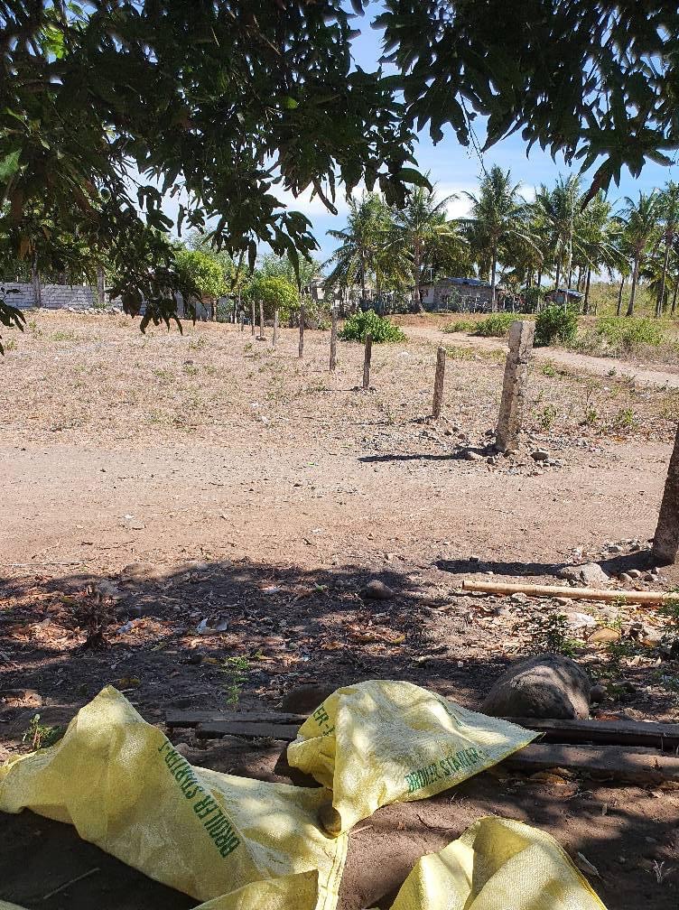 Former Poultry Lot Farm for Sale, Property, For Sale, Lot on Carousell