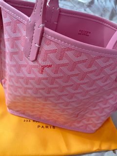 Goyard Anjou Mini in Black Tan, Luxury, Bags & Wallets on Carousell