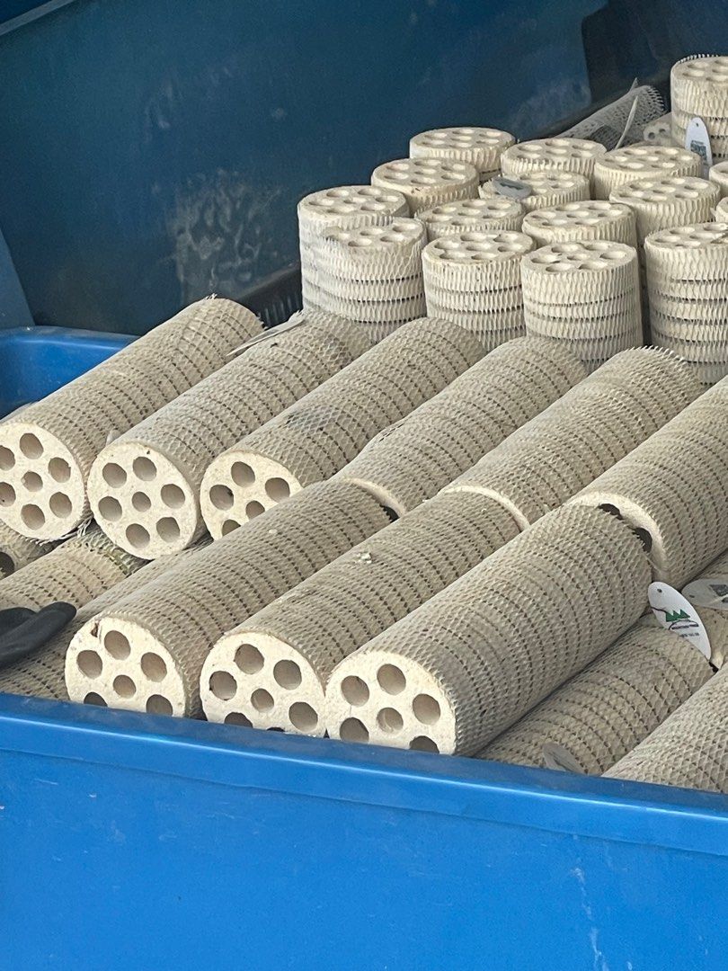 Mountain Tree Lotus Root Bacteria House (2nd gen, 3rd gen) IPOH ONLY ...