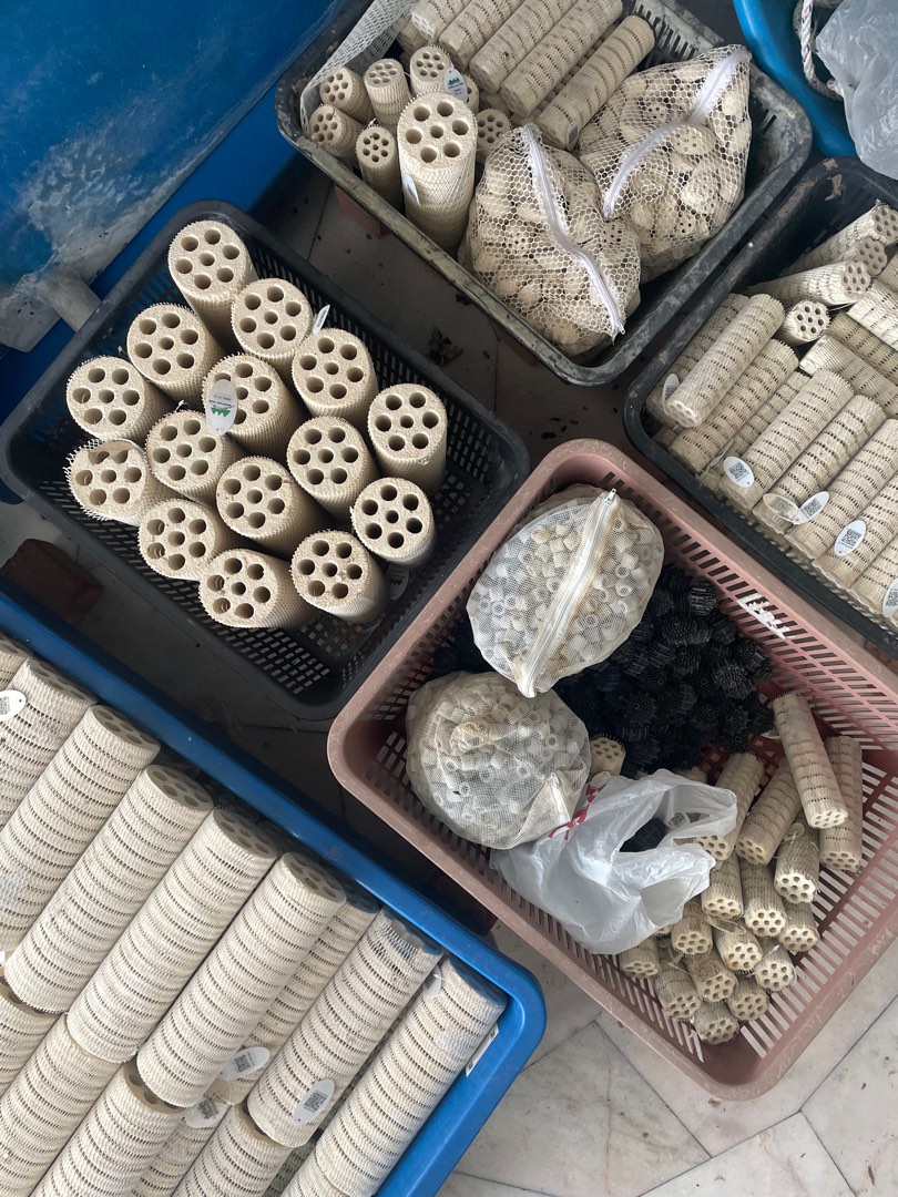 Mountain Tree Lotus Root Bacteria House (2nd gen, 3rd gen) IPOH ONLY ...