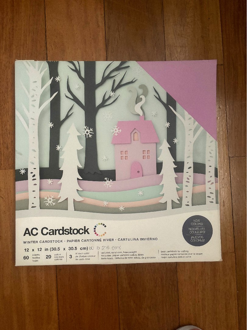AC Cardstock Winter 12x 12 Approx 50 sheets, Hobbies & Toys, Stationary ...