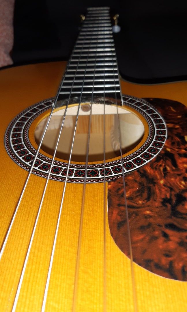 Classical Guitar built in Truss Rod, Hobbies & Toys, Music & Media ...