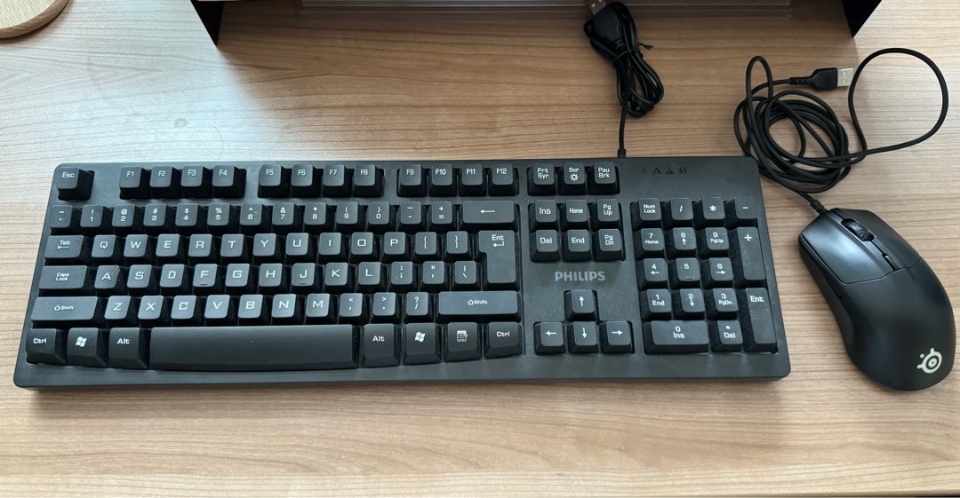 Philips keyboard & Steelseries gaming mouse, Computers & Tech, Parts ...