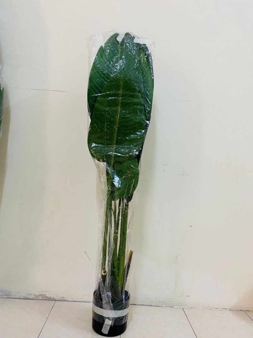 Pokok Pisang Furniture Home Living Home Decor Artificial Plants