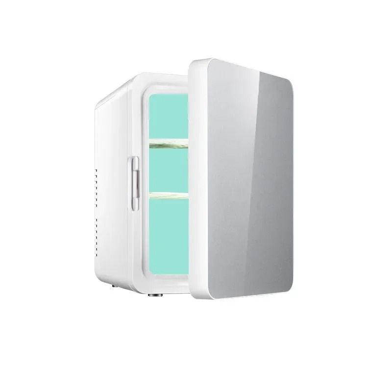 10L Semiconductor Car Refrigerator Mini Fridge Car And Home Dual ...