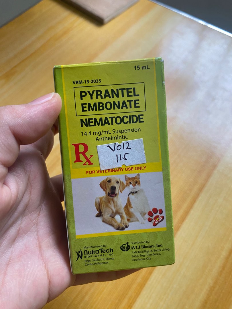 Deworm |pang Purga sa Pusa at Aso | Nematocide, Pet Supplies, Health ... Deworm |pang Purga sa Pusa at Aso | Nematocide, Pet Supplies, Health ...