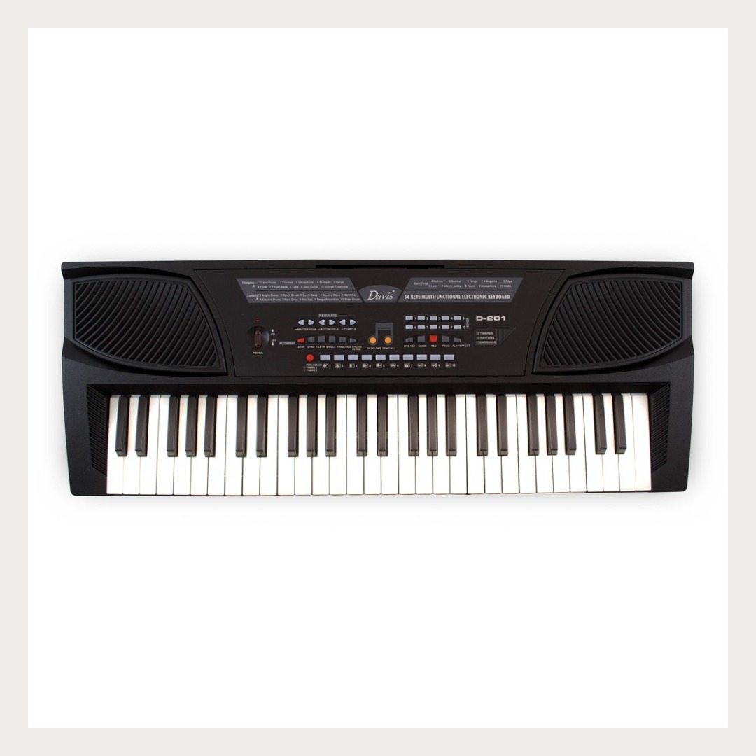 Davis D-201 54 Keys Piano Keyboard, Beginner Piano Keyboard, Piano ...