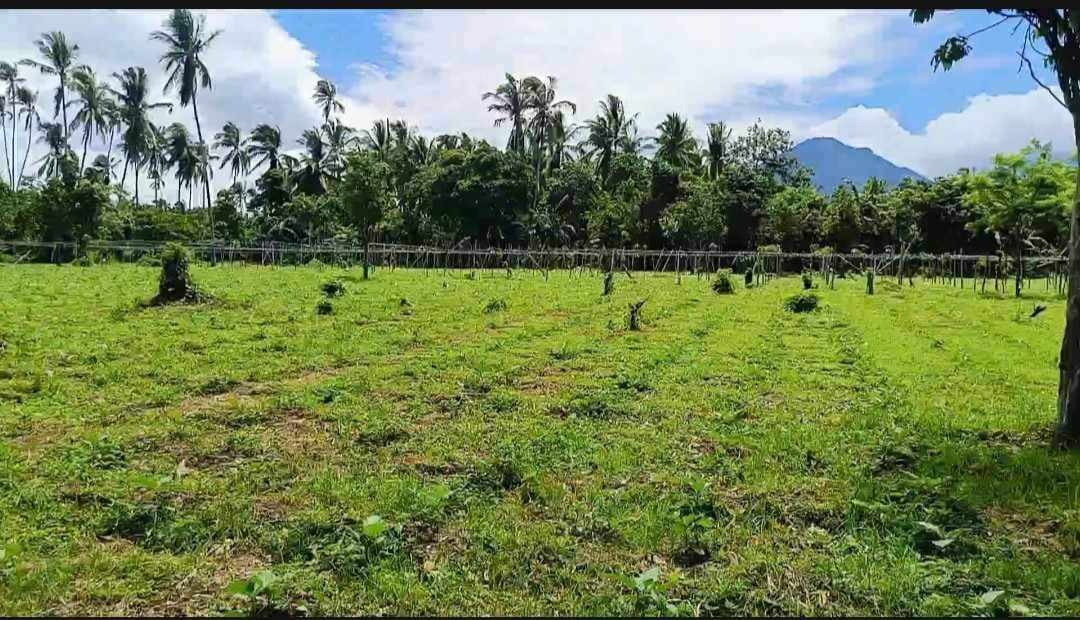 Farm Lots, Property, For Sale, Lot on Carousell