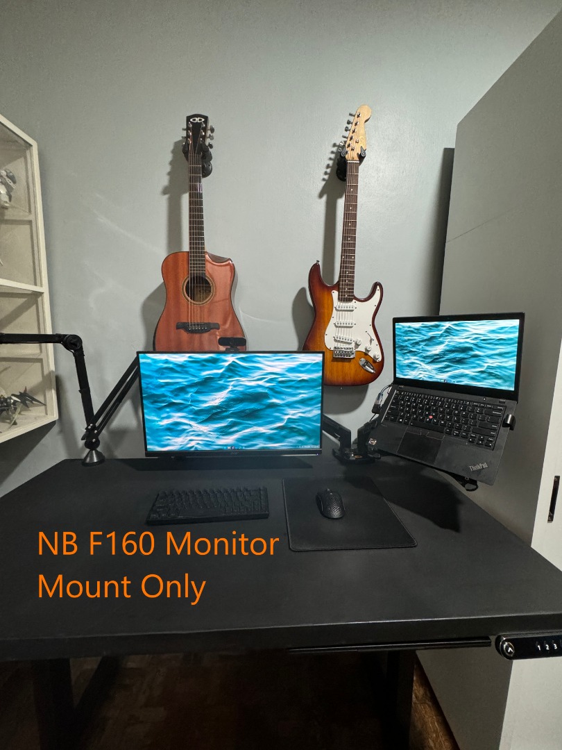 North Bayou F160 Gas-Strut Flexi Mount Dual Screen Monitor Mount ...