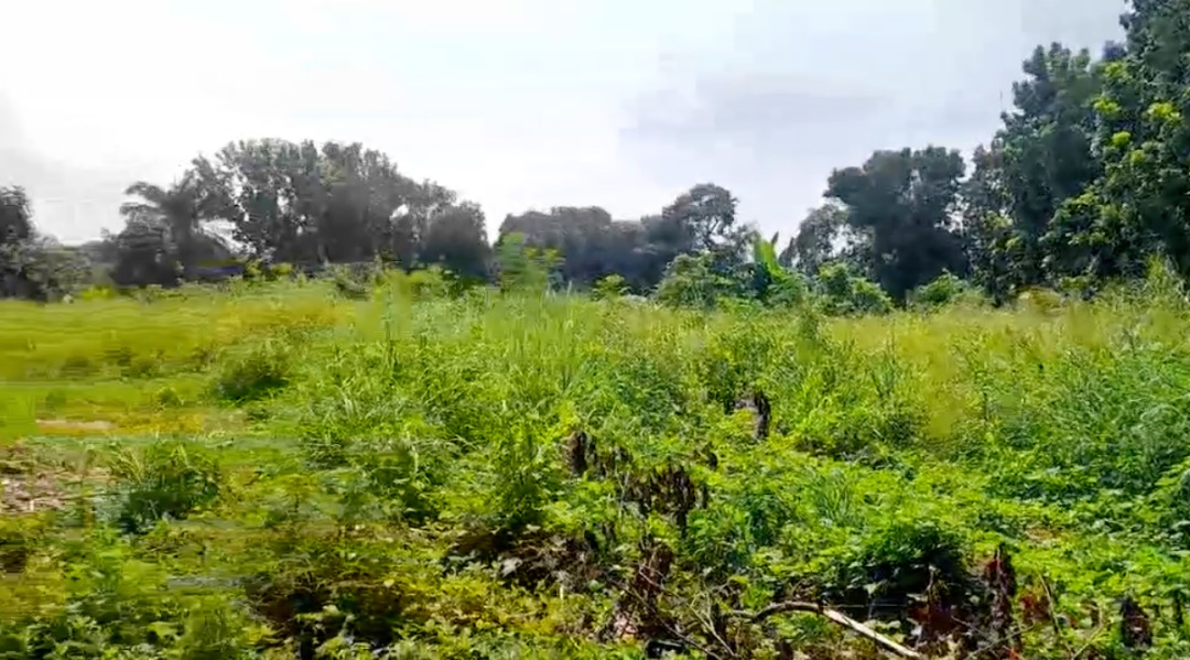 ot Ideal for Subdivision or Housing Development inside a Subdivision in ...