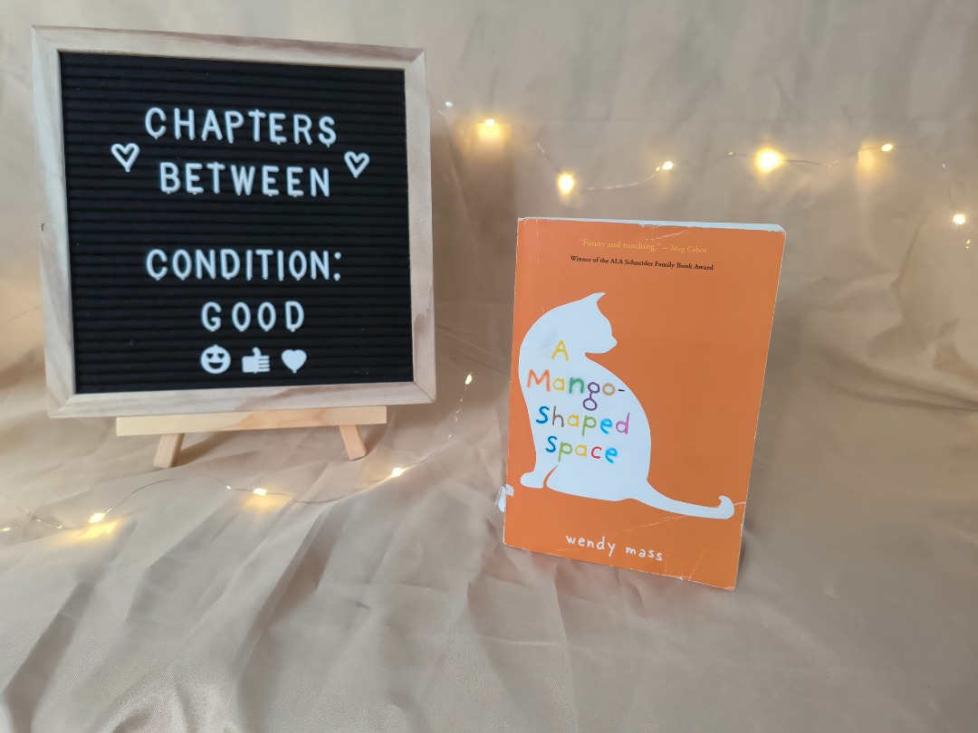 A Mango-Shaped Space Wendy Mass, Hobbies & Toys, Books & Magazines ...