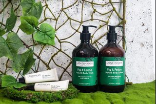Antipodes Fig & Feijoa Hand & Body Wash and Lotion Set 500ml, Beauty ...